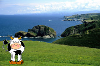 Regla: Delfín y vaca ( actividad 9)