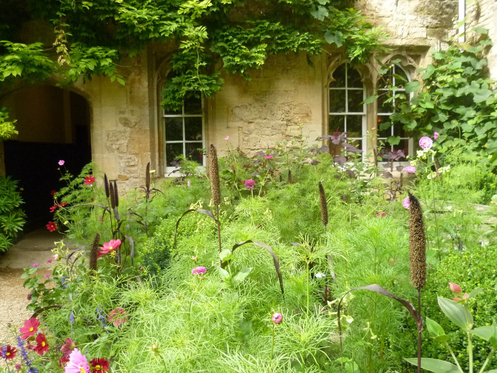 Worcester College Gardeners 2009-2018: Pennisetum glaucum 'Purple ...