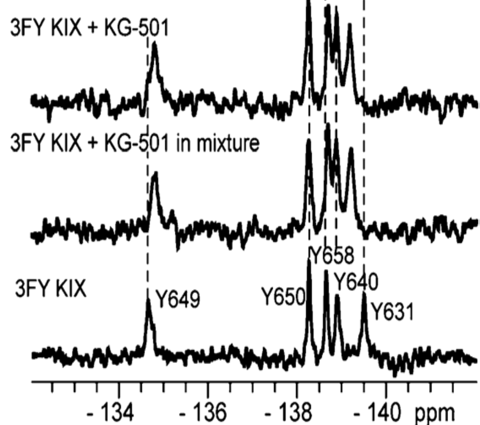Practical Fragments: 19F Target-based Screening Reduced to Practice