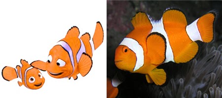 Joy's Paradise Cove: Did you know? #4: A study on Finding Nemo's ...