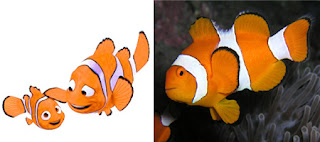 Joy's Paradise Cove: Did you know? #4: A study on Finding Nemo's ...