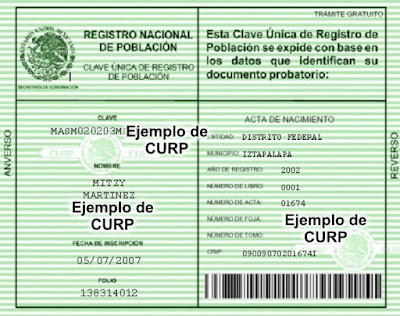 Tiempo de Tareas: ¿Sabes qué es el CURP?