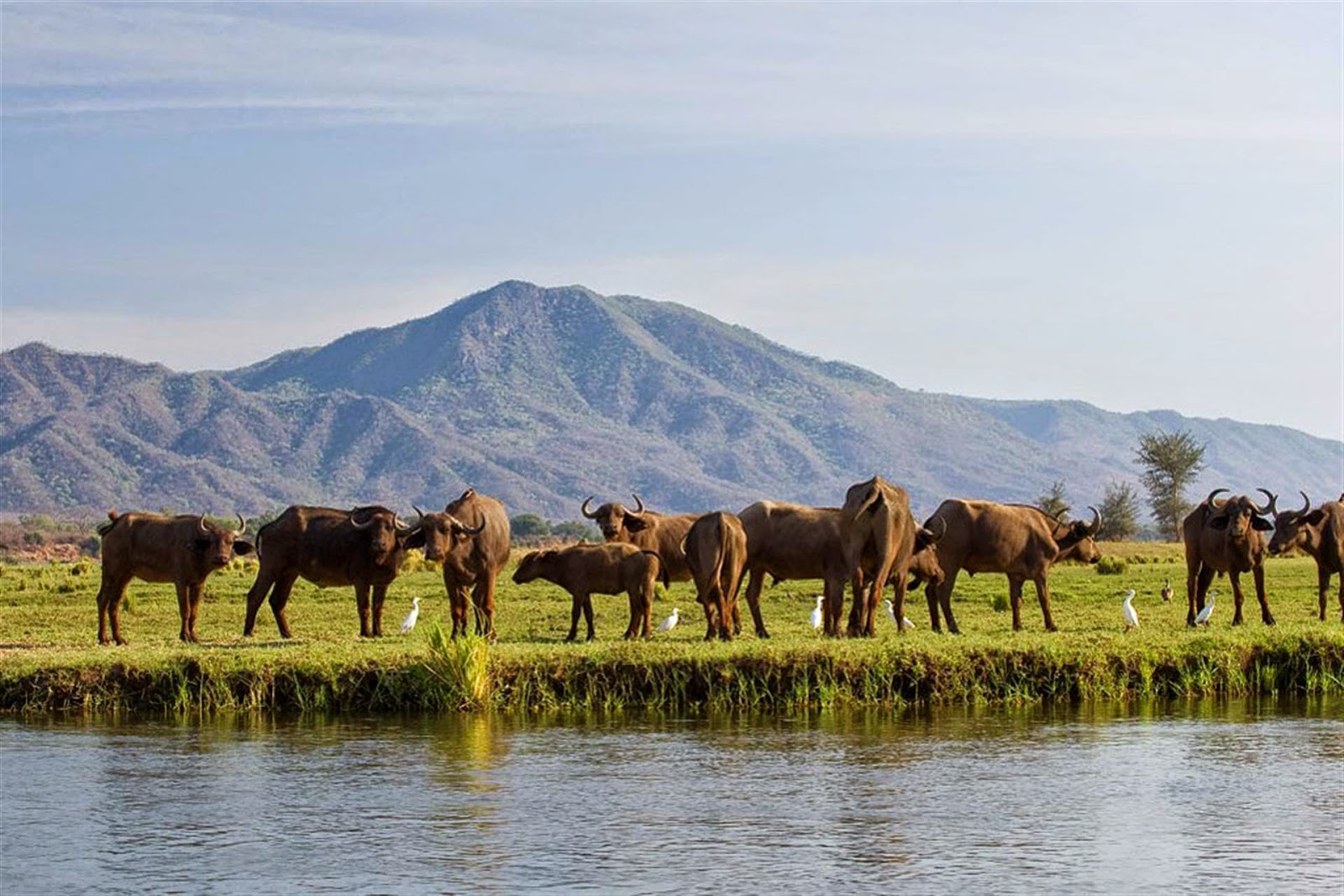 News from Southern Africa & Namibia: Zambia: Chongwe photo gallery