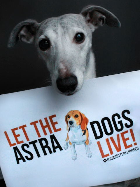 Let the Astra dogs live! - We're all Strange here