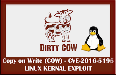 The News Today: SECURITY ALERT - Serious Dirty Cow Linux Vulnerability Under Attack