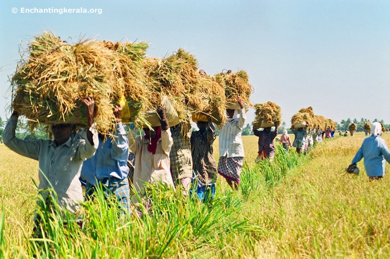 My Diary: November 2013