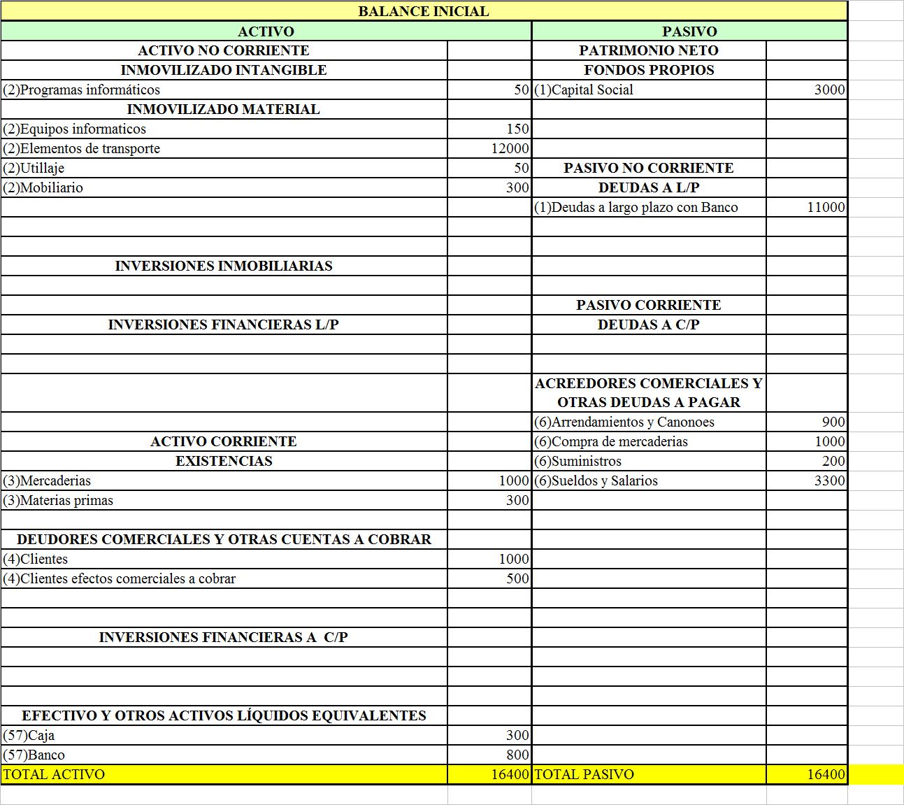 Camisetas Camaleón S.L.: Balance Inicial