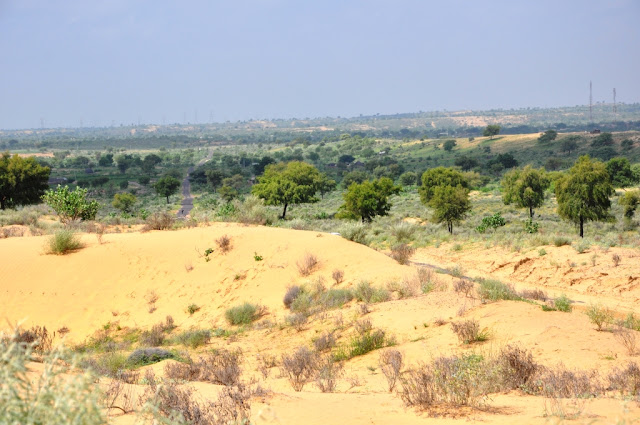 BARMERLOCATIONS: LOCATION OF BARMER DESERT