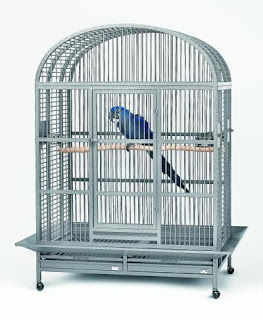 Neelam's Expierence: Lesson plan made by Suman Batra from GGSSS Chattarpur