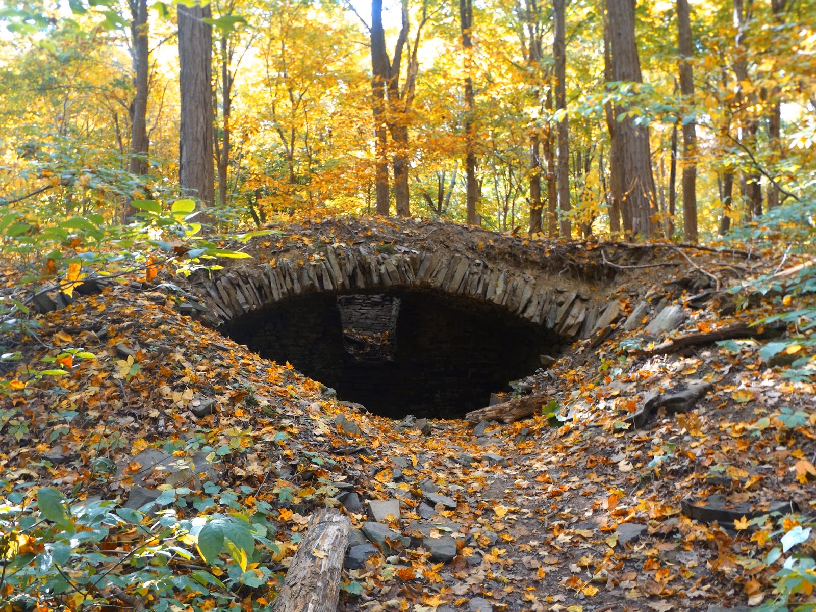 Walking Man 24 7: Ferncliff Forest and Thompson Pond Preserve(Dutchess ...