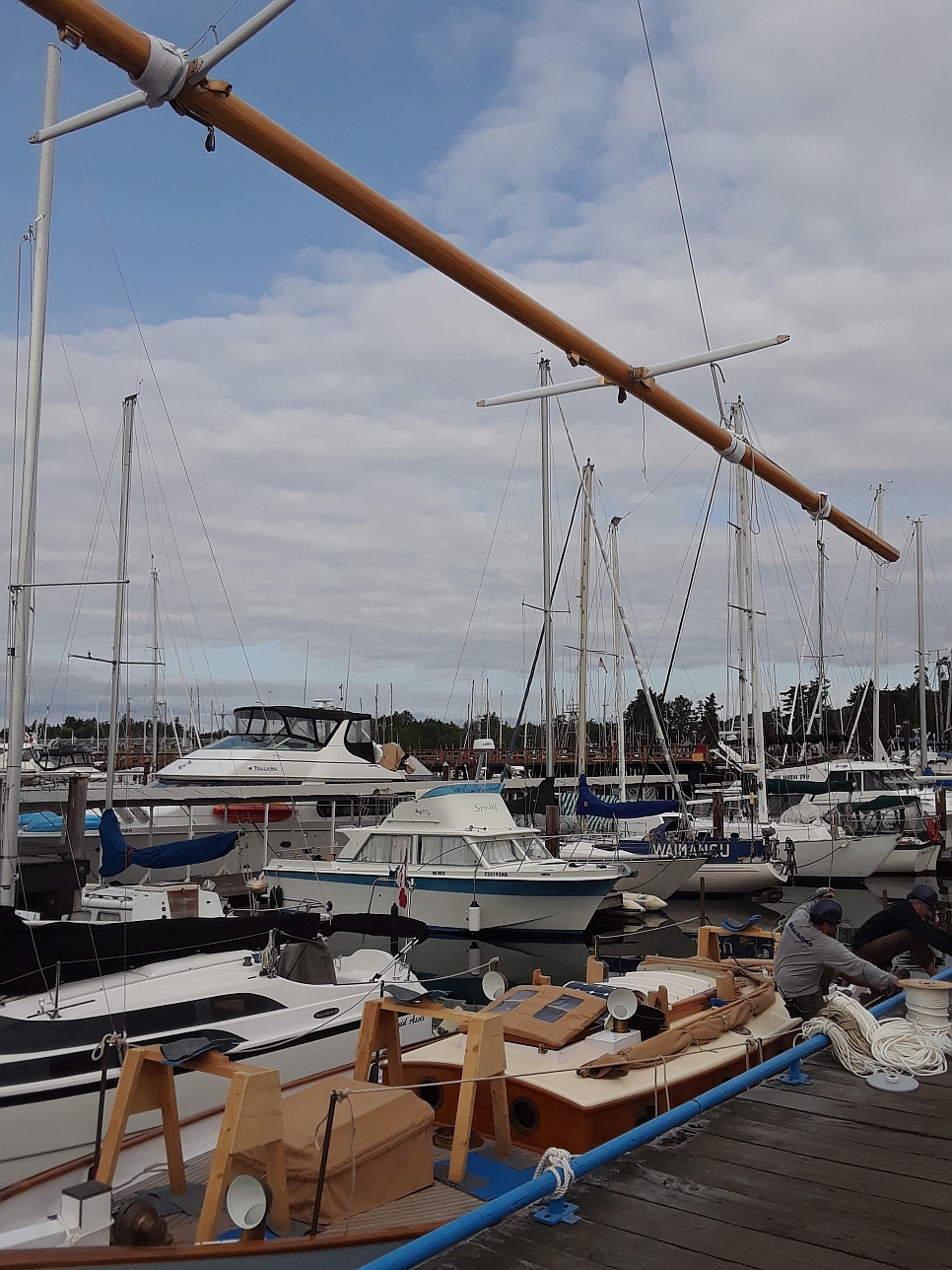 Building a 34 ft Lyle Hess Falmouth Cutter: Stepping the Mast