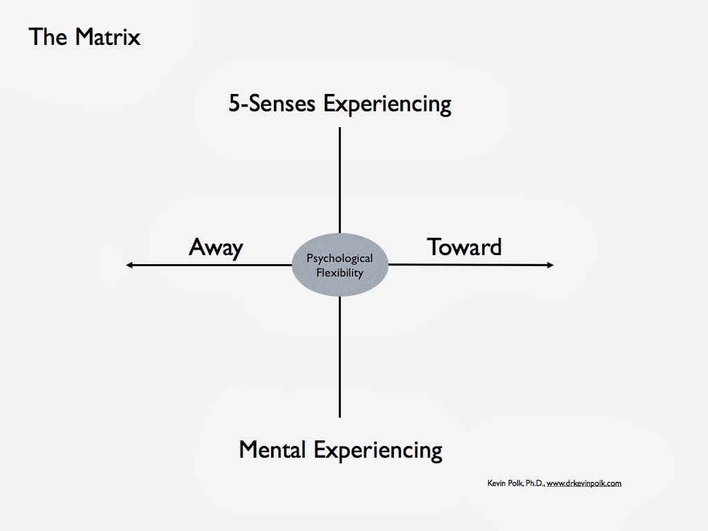 The ACT Matrix by Kevin Polk