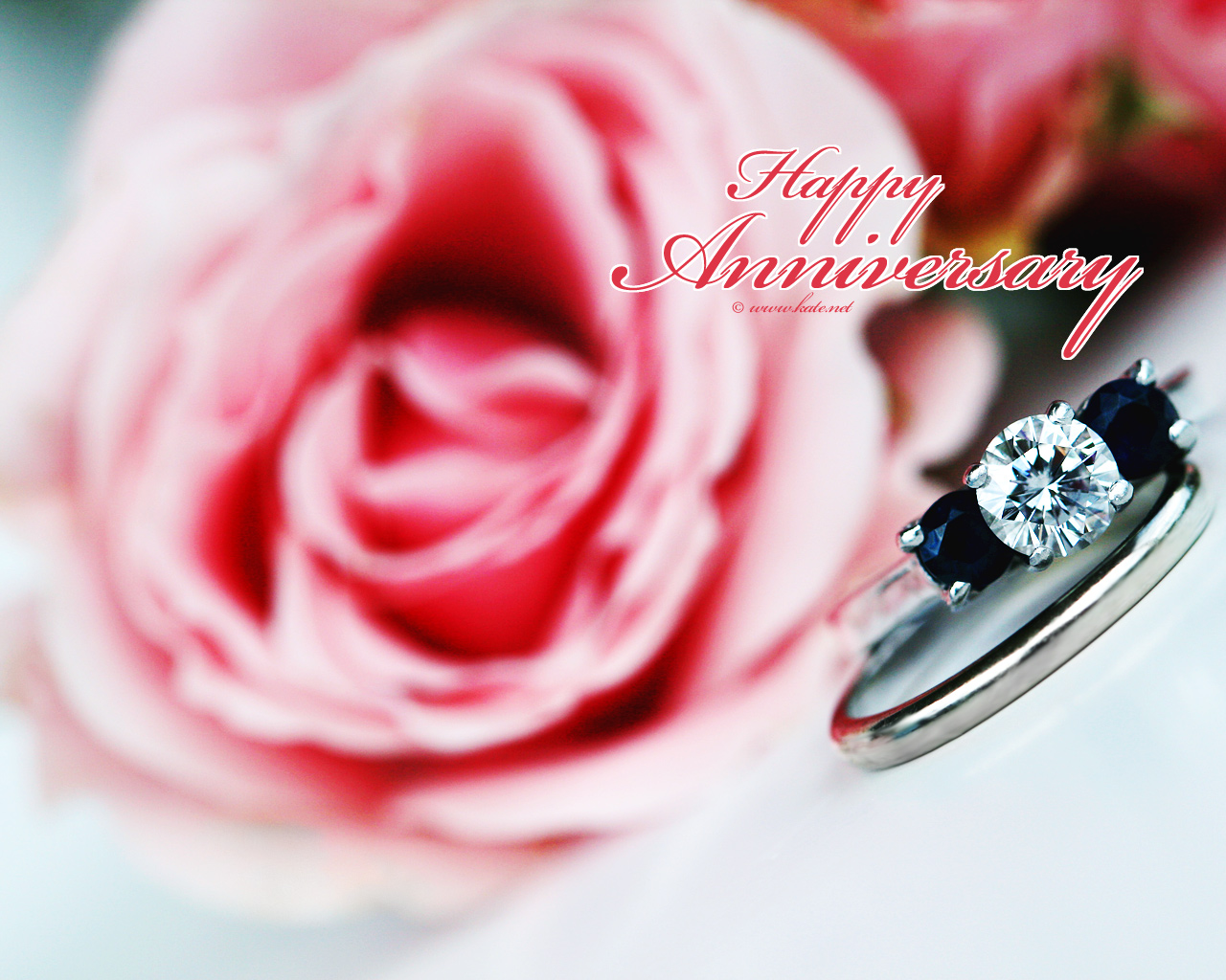 Journey Of My Life Making My Dreams Come True Happy 2nd Wedding journey-of-my-life-making-my-dreams-come-true-happy-2nd-wedding