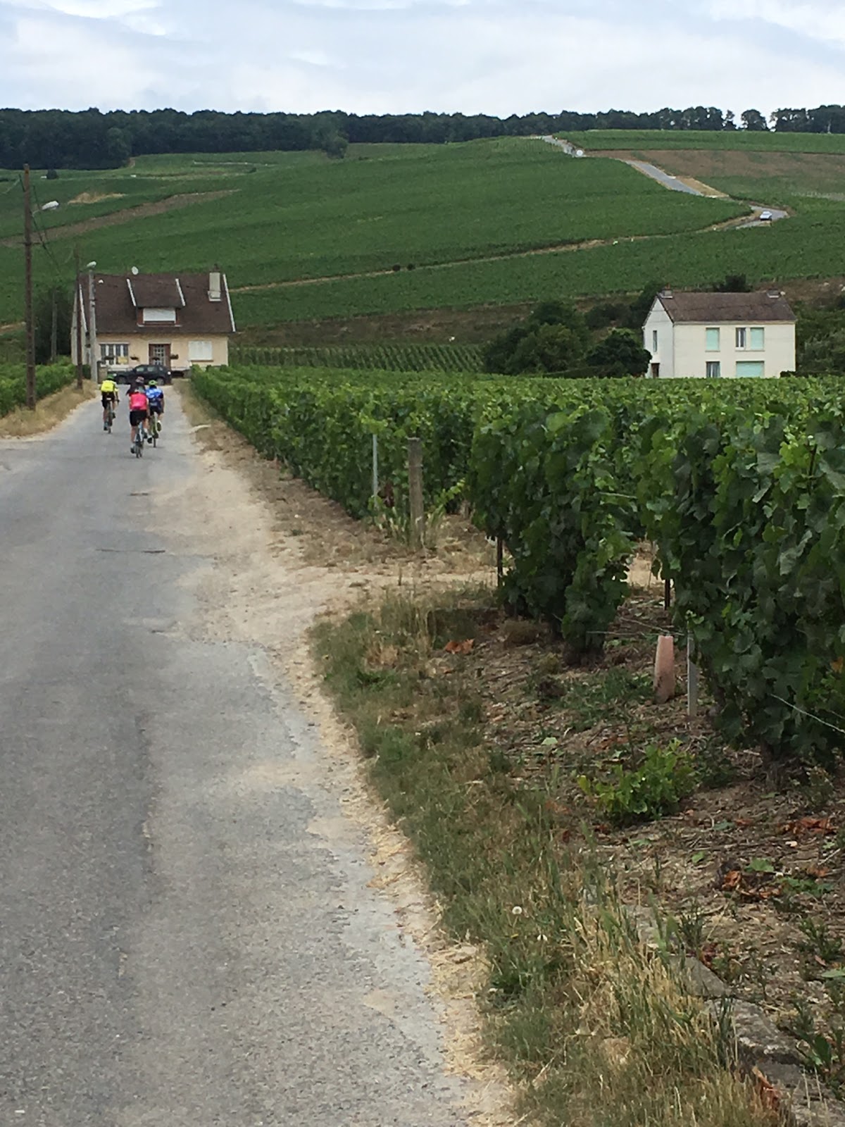 COV Cyclotourisme: La Montagne de Reims