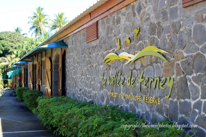 Red Needle's Tropical Passions: La Vallee de Ferney Nature Reserve