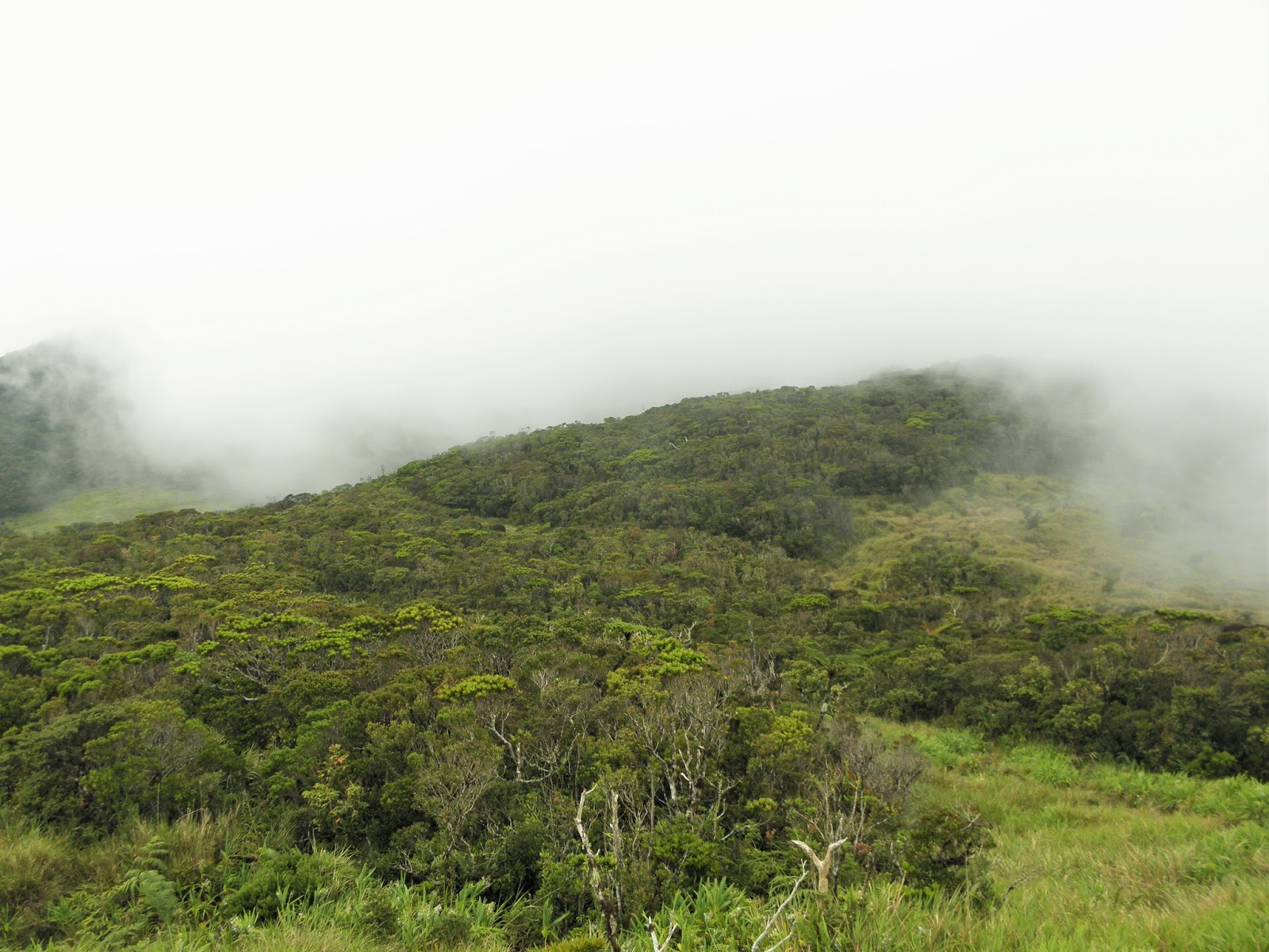 Hiking The Monkey Trails Of Mt. Tabayoc In Kabayan, Benguet