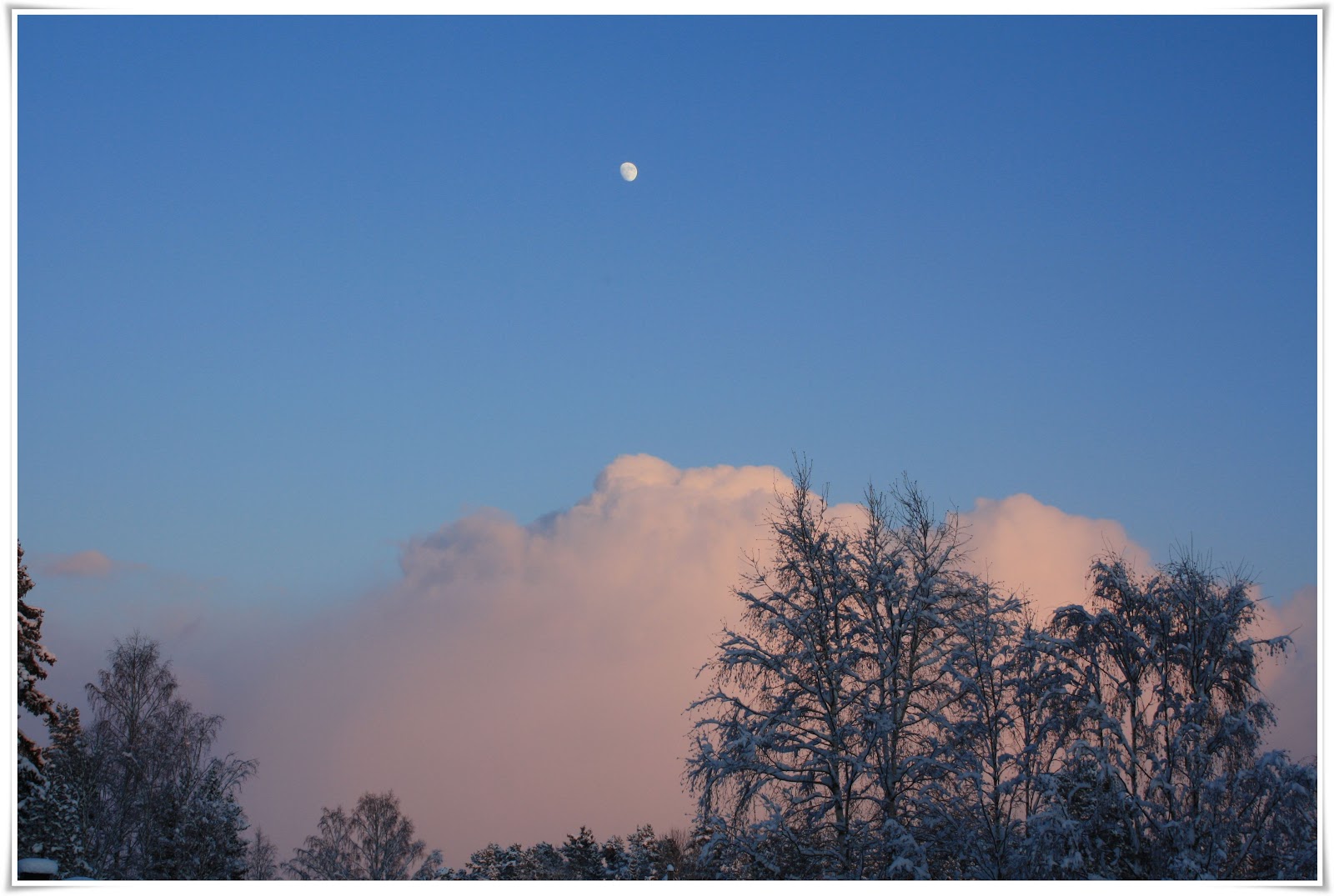 vitamargarita: Vinterbilder