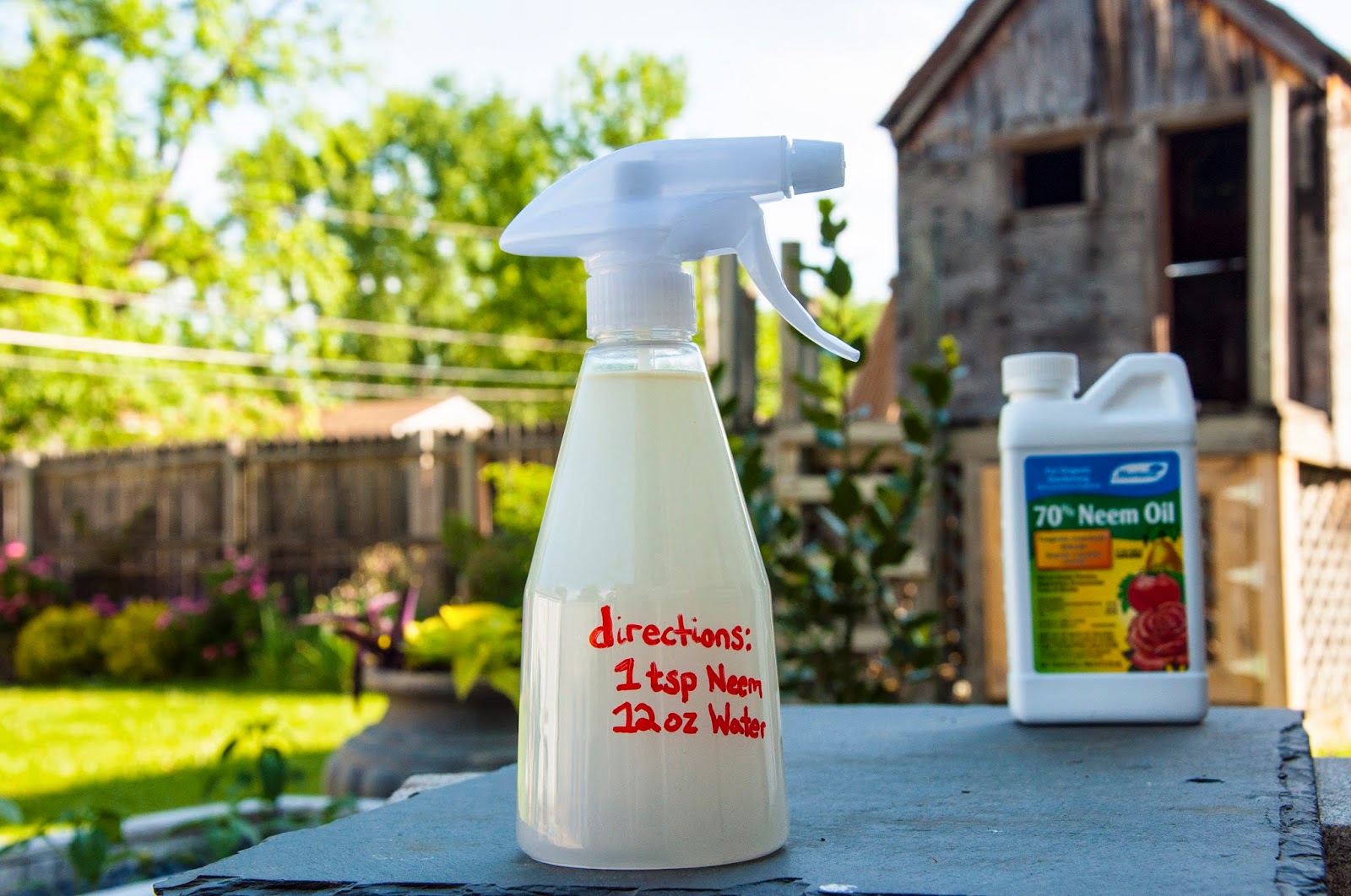 The Green Gardener: Neem - The organic insecticide