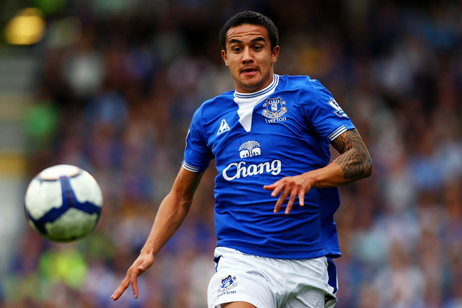 Tim Cahill Pictures | Football Players Club