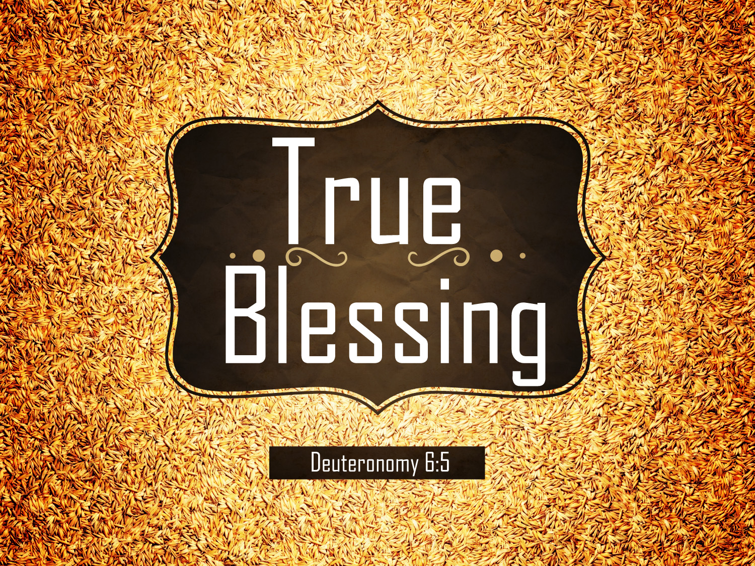 Willyam Royvice: The True Blessings