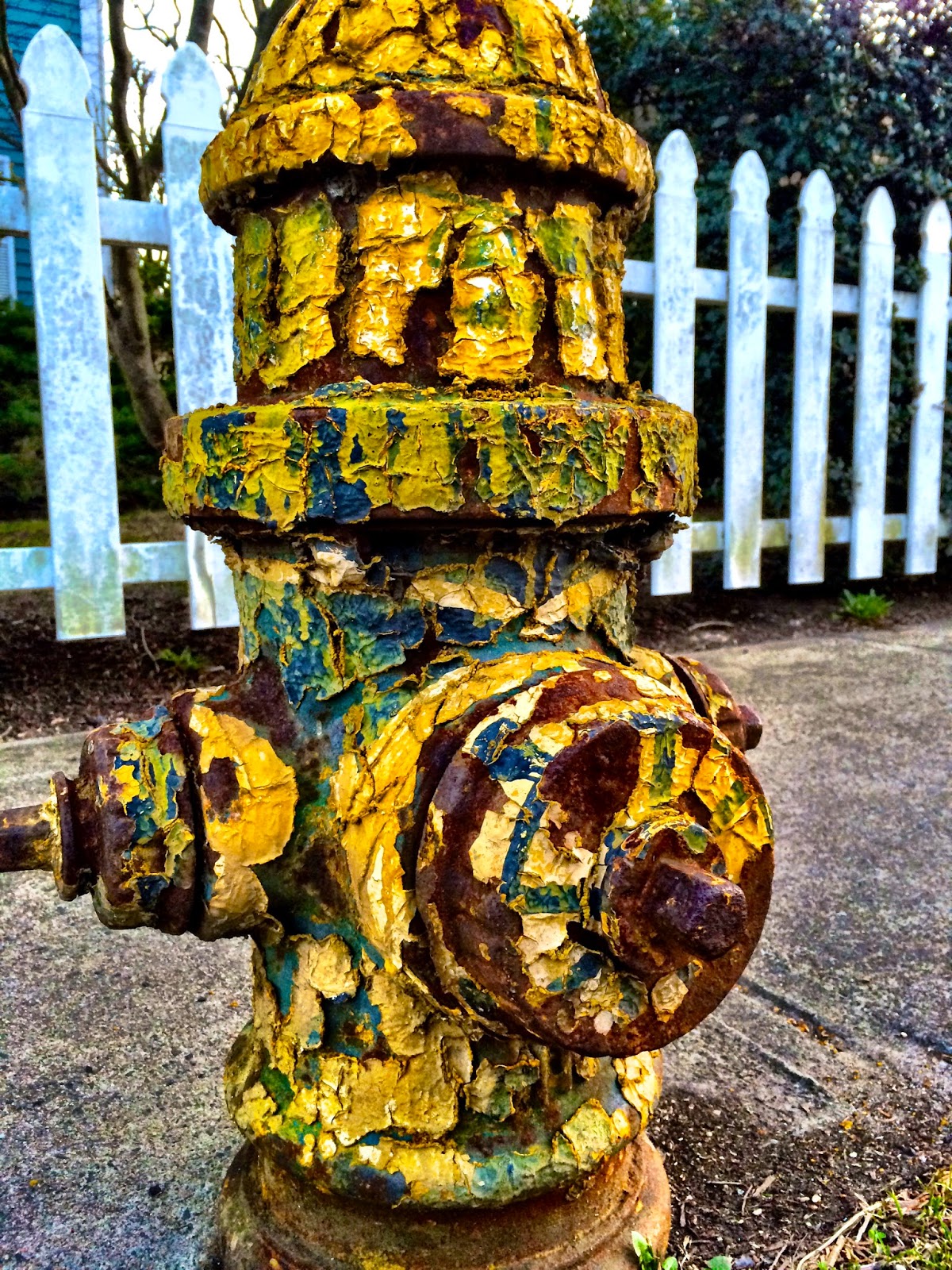 Rust & Decay on a Fire Hydrant