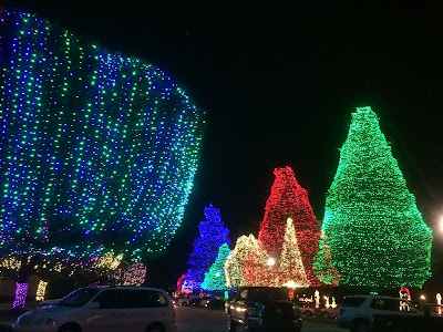 All Things Midlands: {Around Town} Fantasy of Lights at Swan Lake Iris Gardens in Sumter SC
