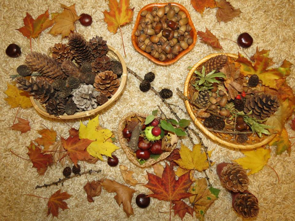 Activitati educative de la suflet la suflet: Activitati cu fructe de ...