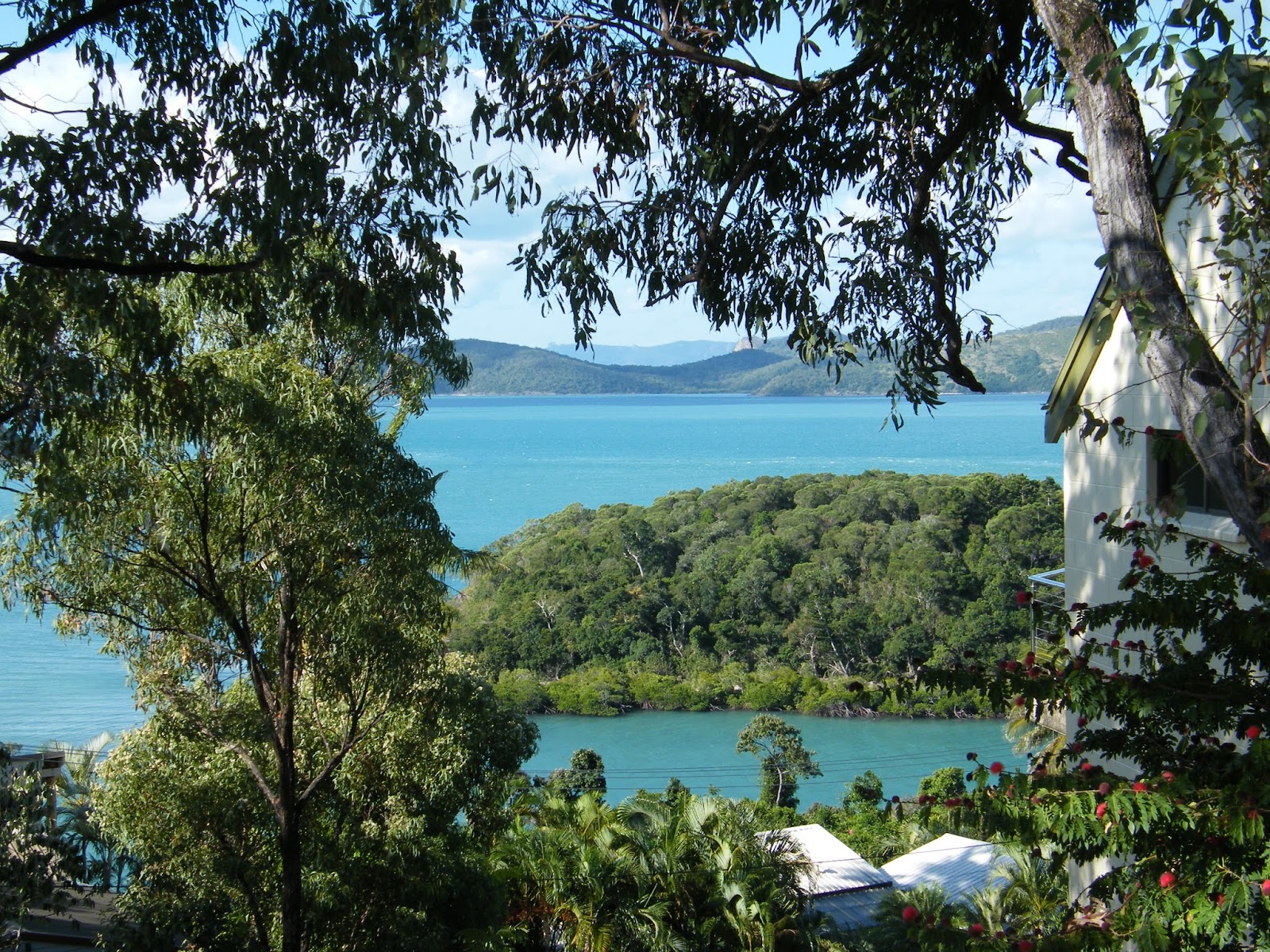 BJ and Noelle Travel Oz : Airlie Beach - Funny Dunny (Wunjunga ...