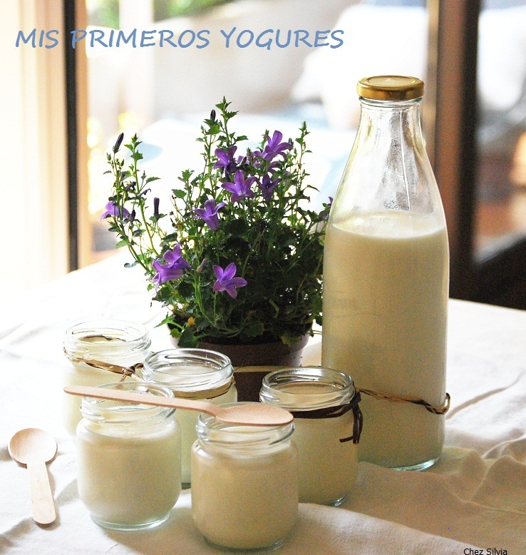 Mis primeros yogures. — Chez Silvia