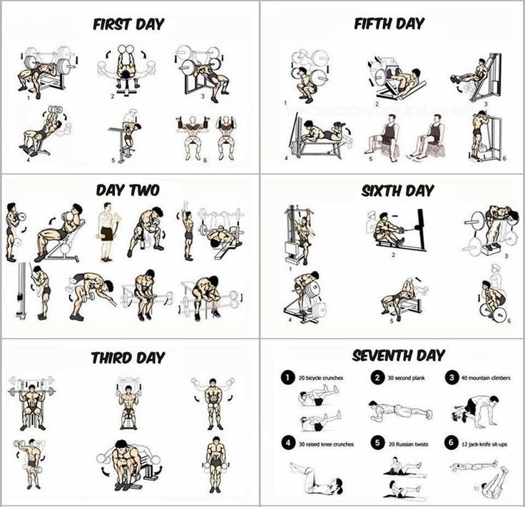 The Perfect 6 Day Program Beginner s Www bodybuilding110 The Perfect 6 Day Program Beginner s Www bodybuilding110