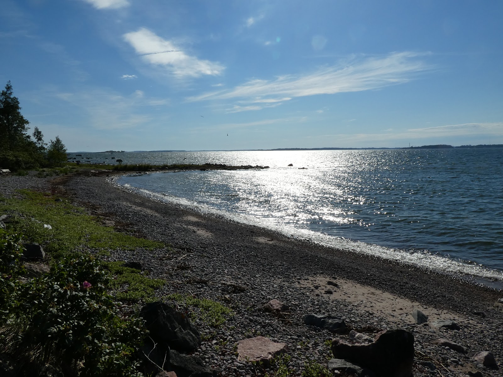 Sivusilmällä: Melkki – saari, joka pelastui