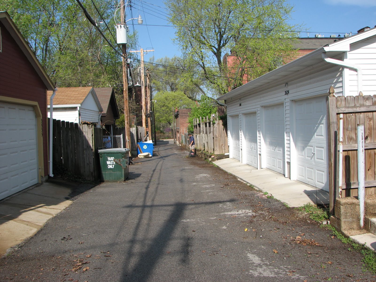 Between The Sycamores: 252/365 Alley Clean Up