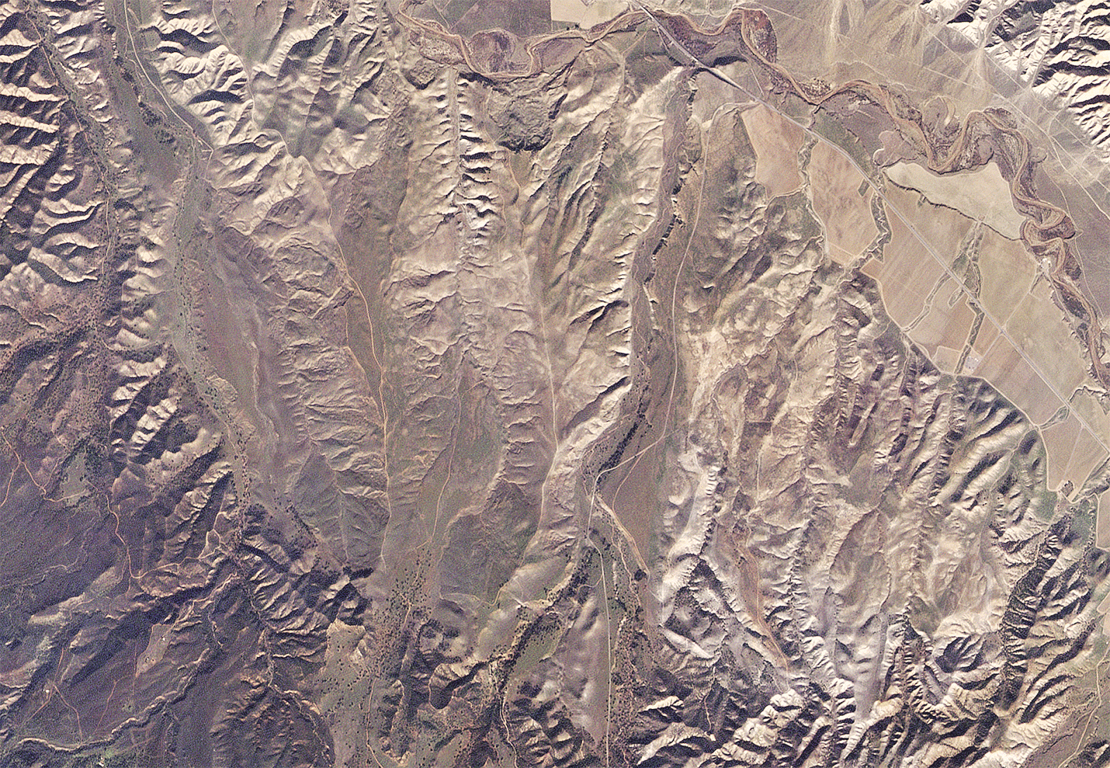 California's Wildflower Super Bloom seen from Space | Earth Blog