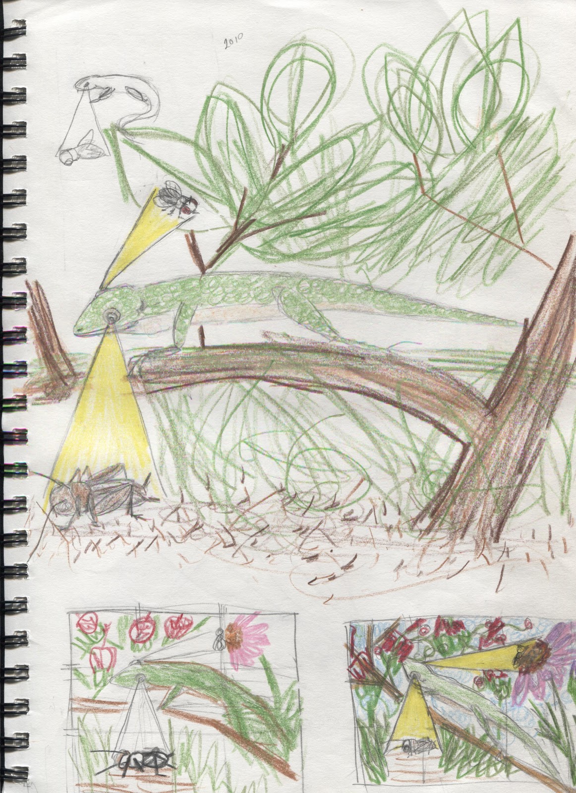 A Life Inspired by Nature: Sketch book