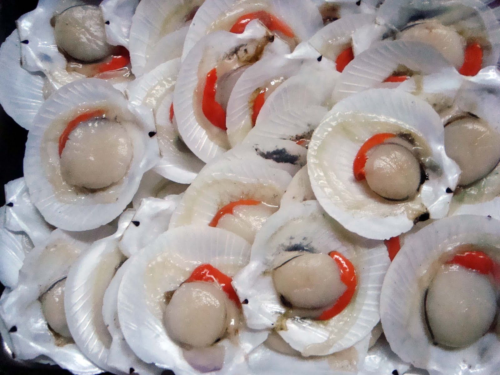 Living with Nature - School on Blog by Dr. Abercio V. Rotor: Food, Food ...