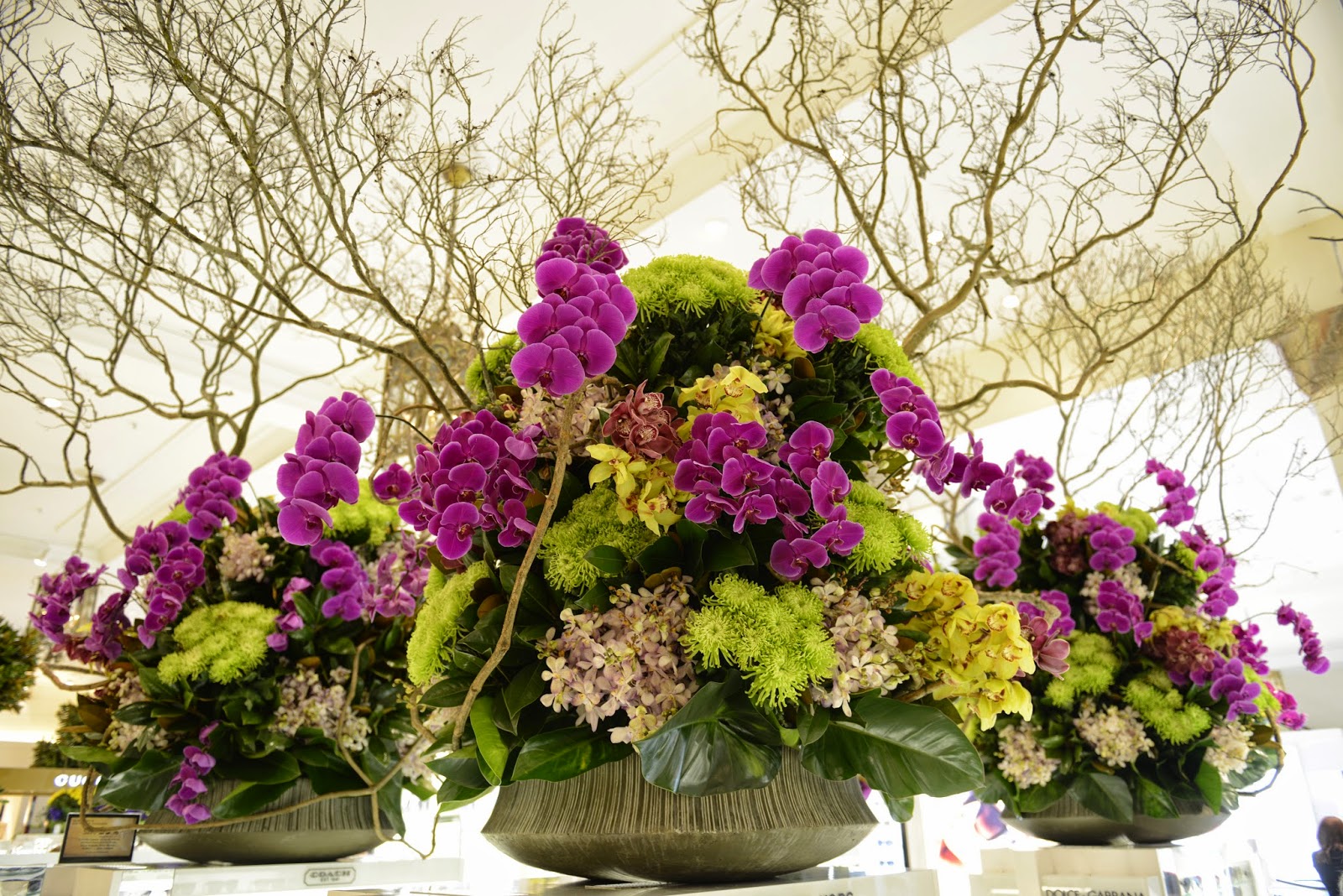 Urban Flower: David Jones Flower Show 2014 in the Sydney CBD