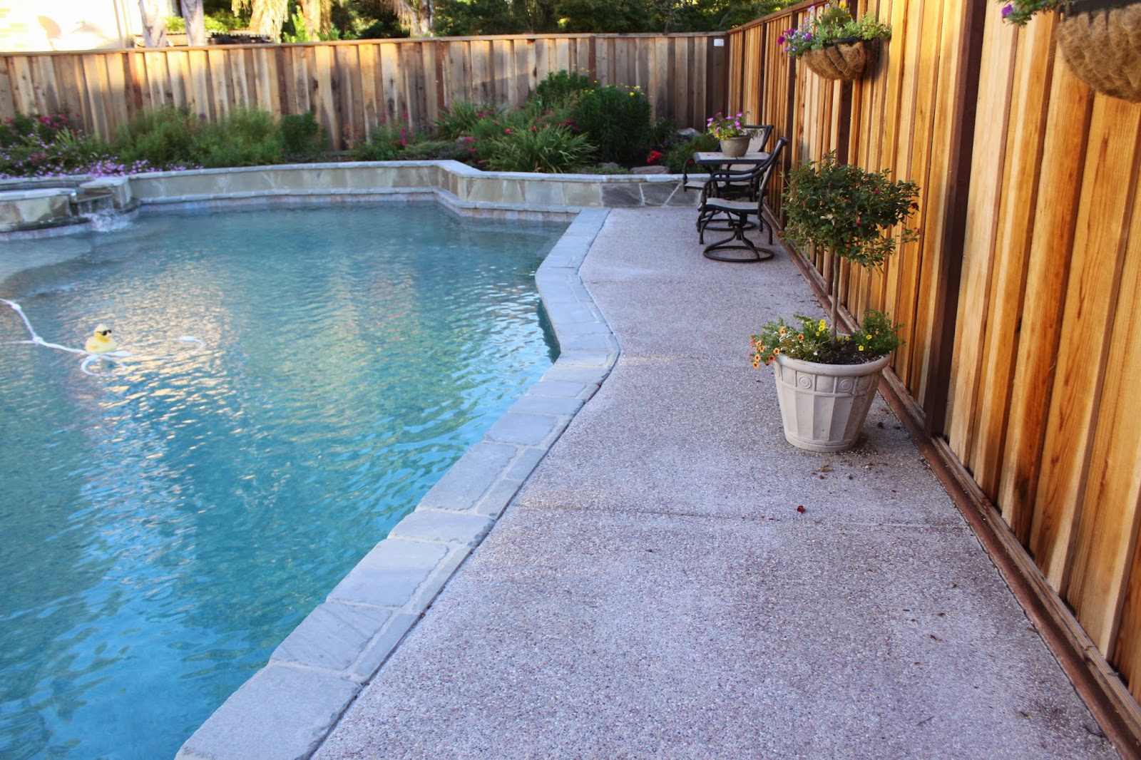 The Larson Lingo: Before & After: Backyard Edition, Phase 2