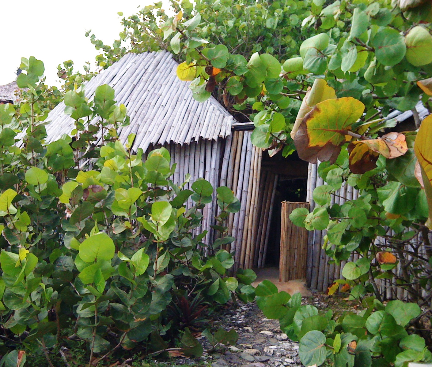 tbanjo: Great Huts - Boston Beach Jamaica: Eco-tourism, Paradise on the ...