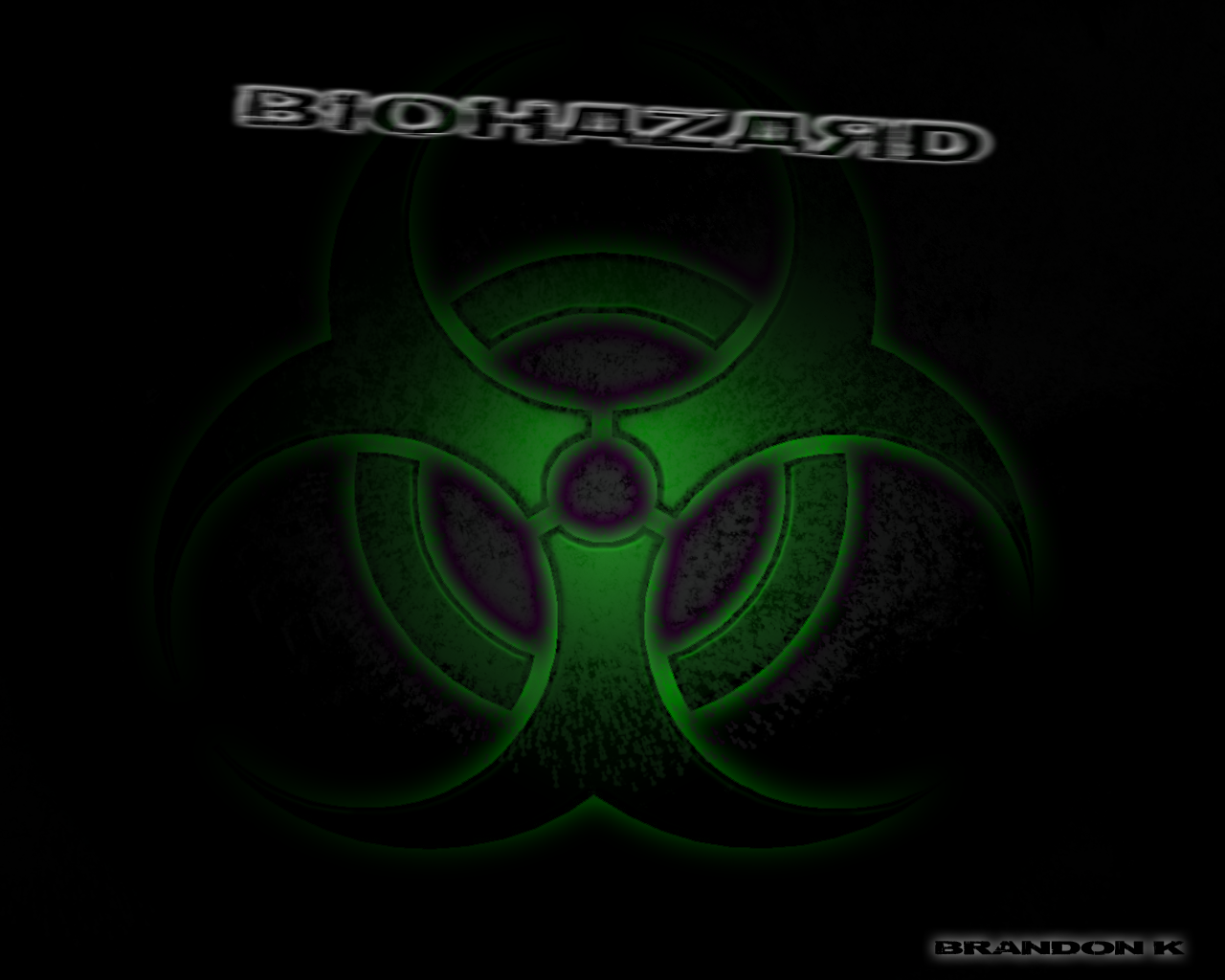 Biohazard wallpaper [1280×1024] : r/wallpaper