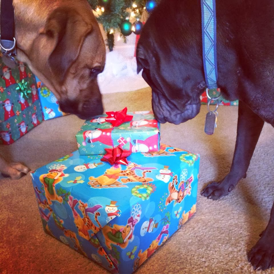 For the Love of Dessert: Chocolate-Gingerbread Twix Brownies