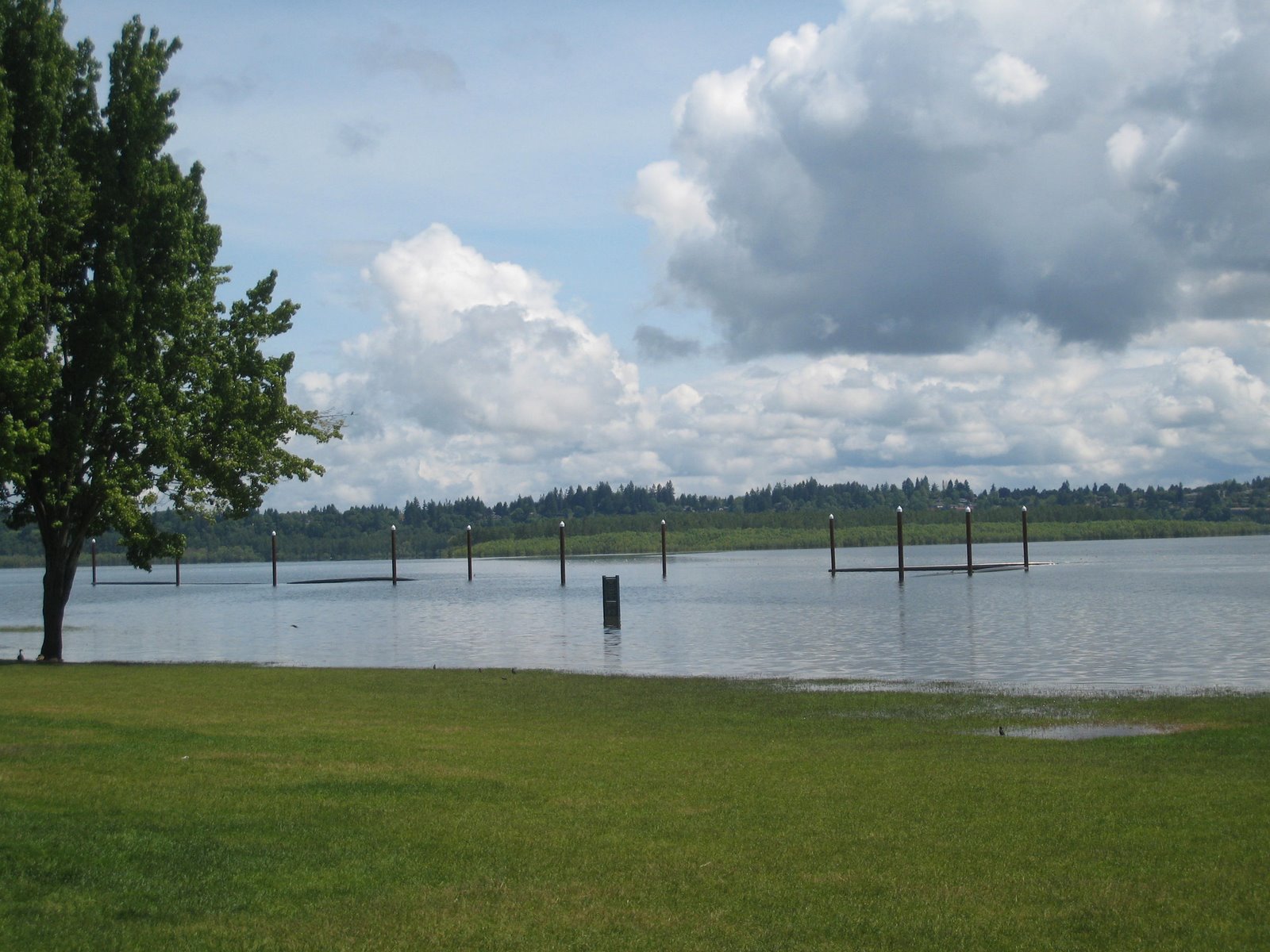 Out & About: Vancouver Lake Bike Ride