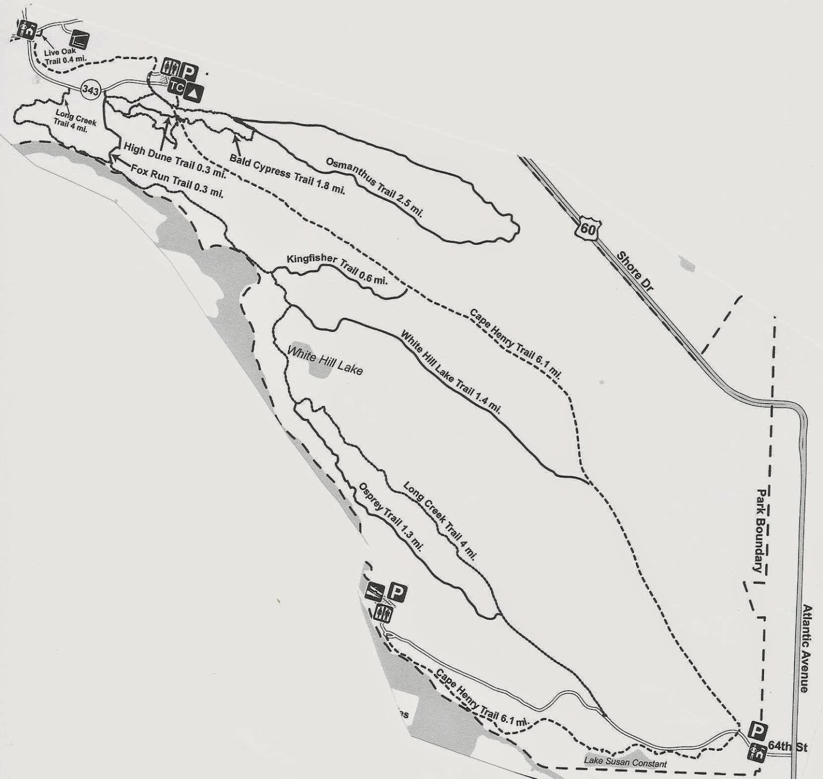 Information You Can Use: Cape Henry