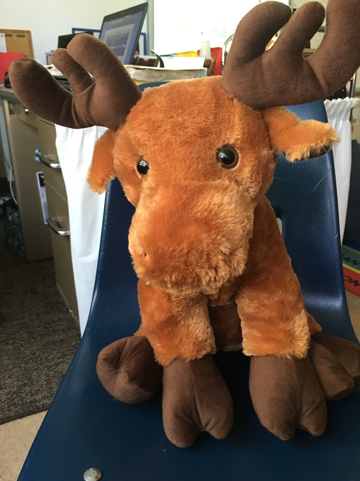 Mighty Moose Picture of the Day