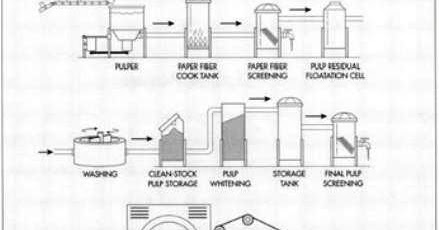 Process flow sheets: Toilet paper production process