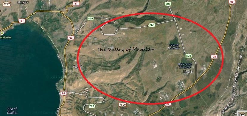 The Wise Conservative