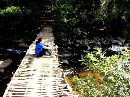 sannidhi coorg homestay - reach us @ drphoenixk@gmail.com: KALINDI ...