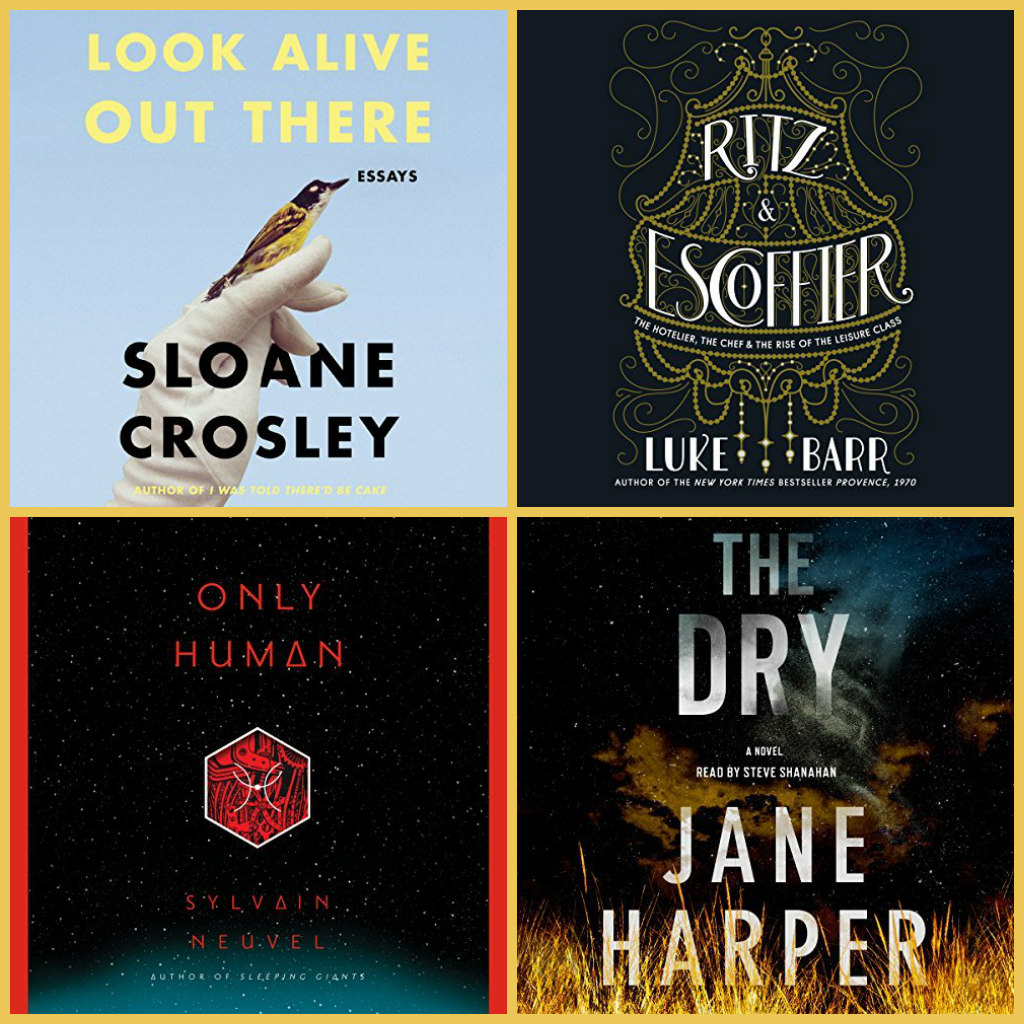 Beth Fish Reads: Stacked-Up Book Thoughts: 6 Good Books