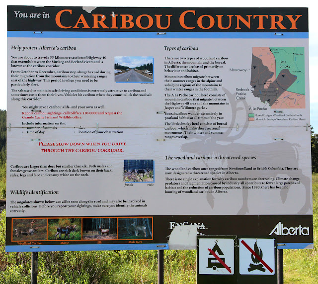 Riding the USA: Day 7 - Hinton, Alberta - Charlie Lake, British Columbia