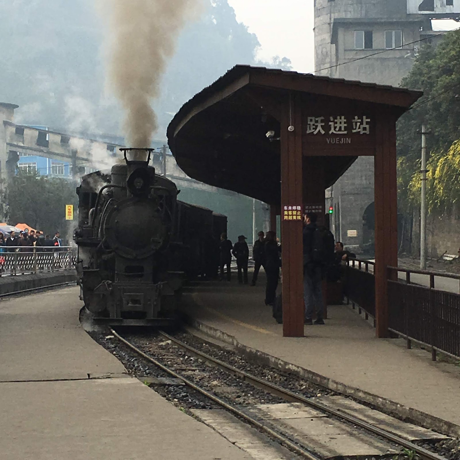 We Live In The Country!: A month in China! Chengdu: Pandas, a Steam ...