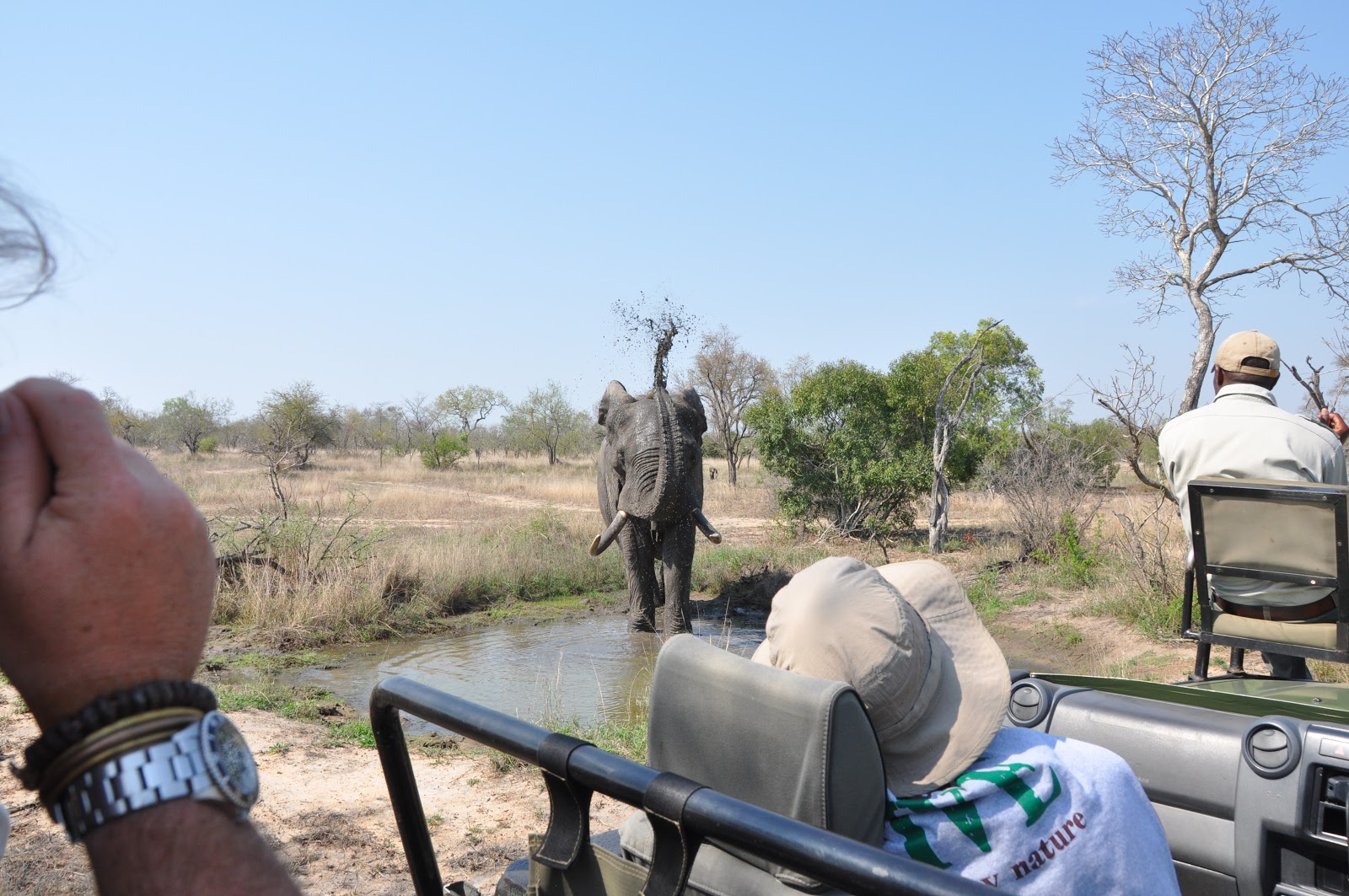 On Track Safari News: Djuma - another successful visit for WE viewers ...